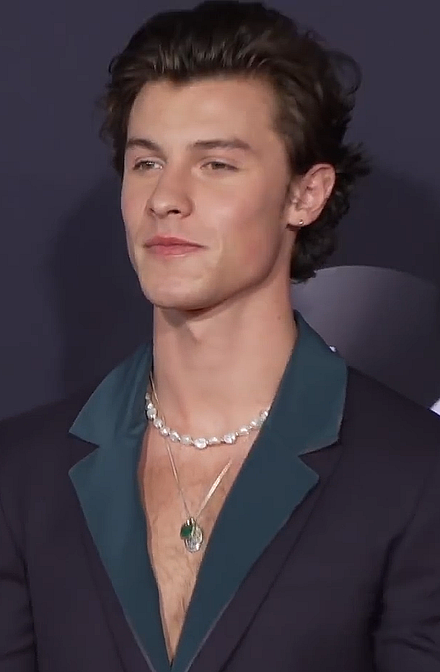 Shawn Mendes News: Latest Updates, Photos, Videos | The Indian Express